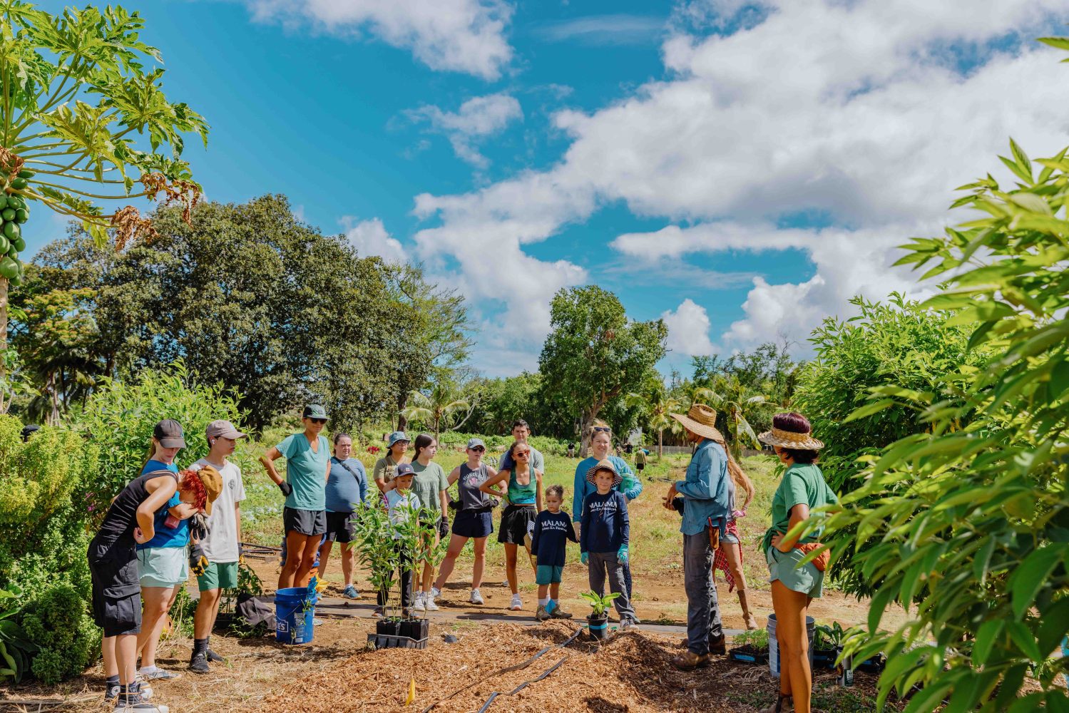 Kokua Learning Farm Community Workdays - Kokua Hawaii Foundation