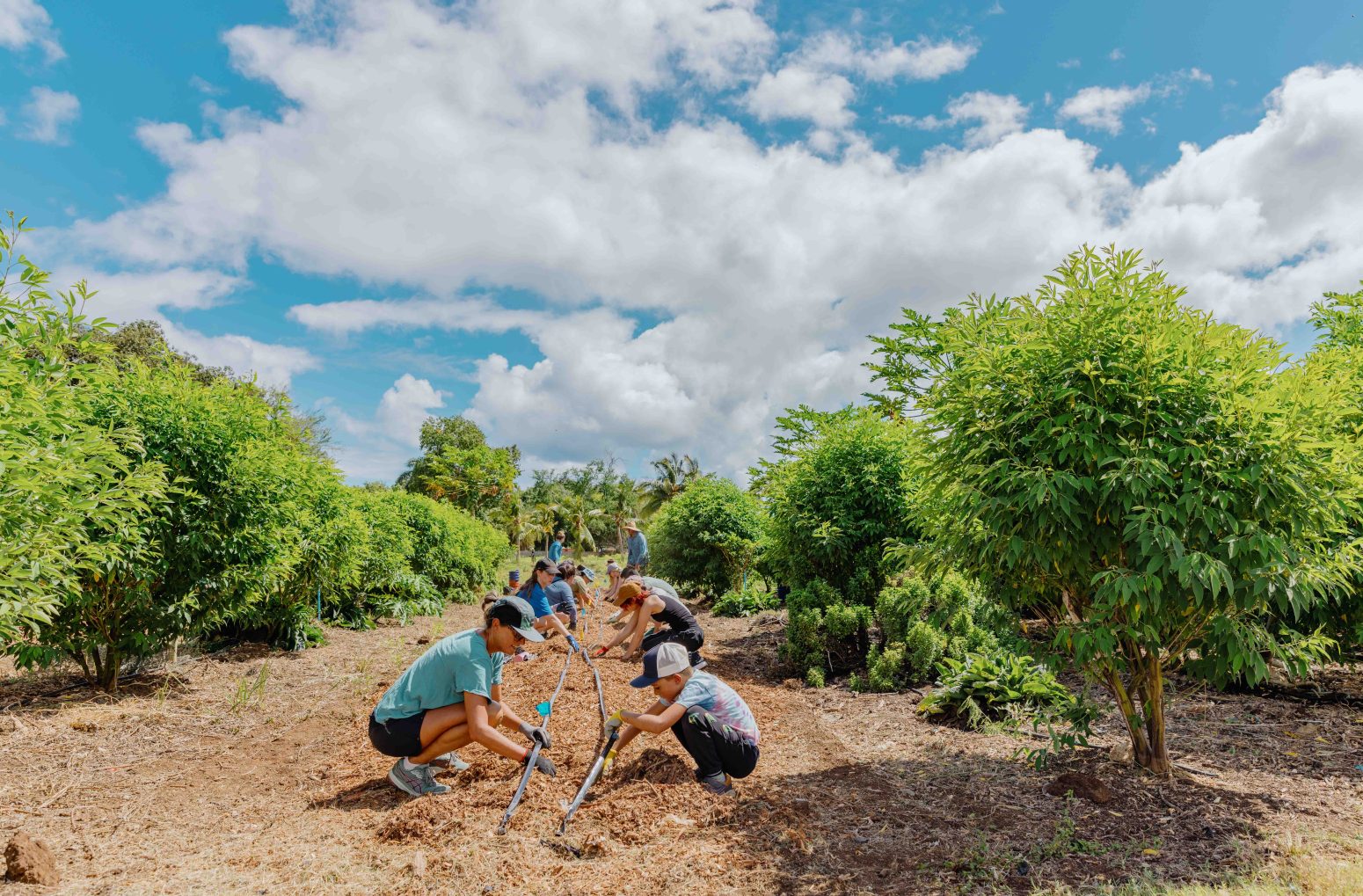 AINA Farm Stand - Kokua Hawaii Foundation