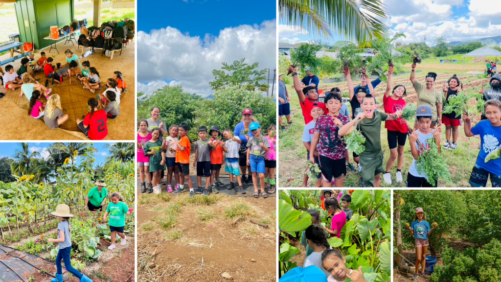 Kōkua Learning Farm Field Trips - Kokua Hawaii Foundation