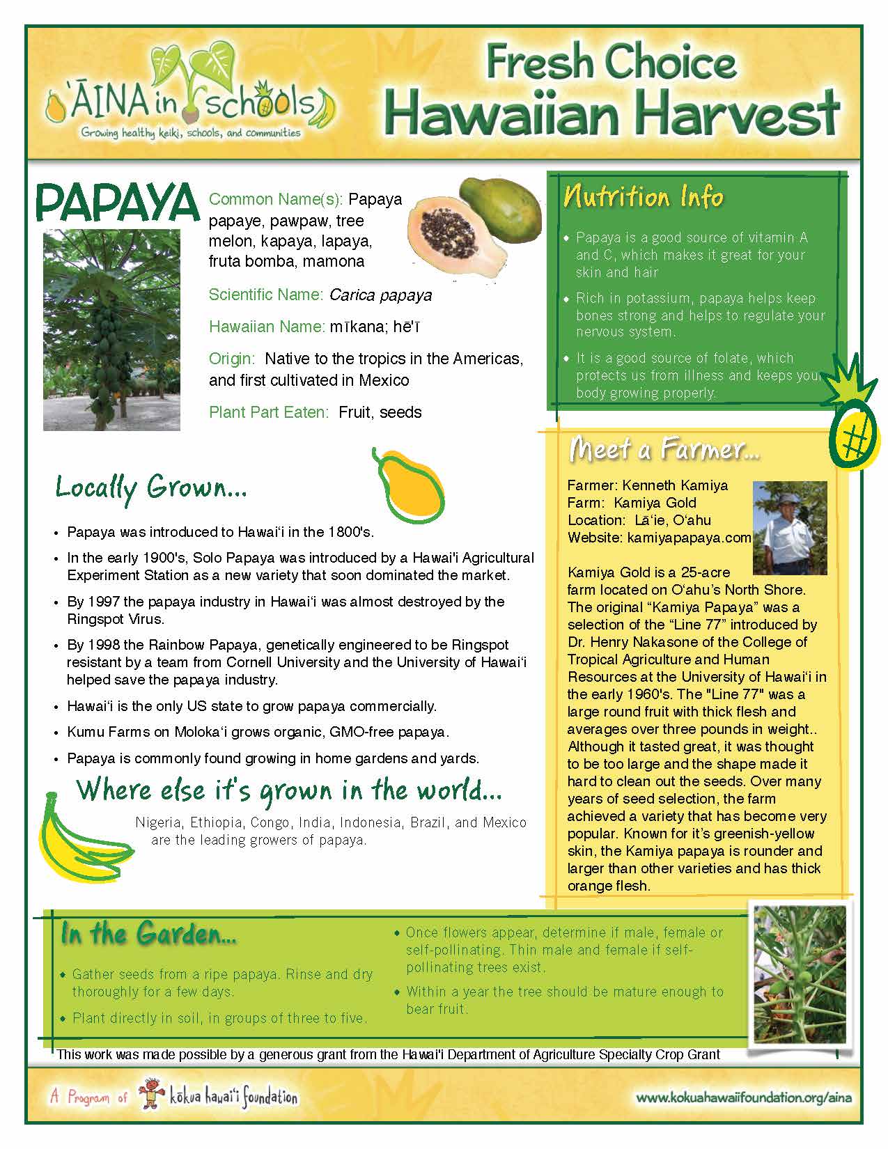 Papaya Educational Resource Sheet - Kokua Hawaii Foundation