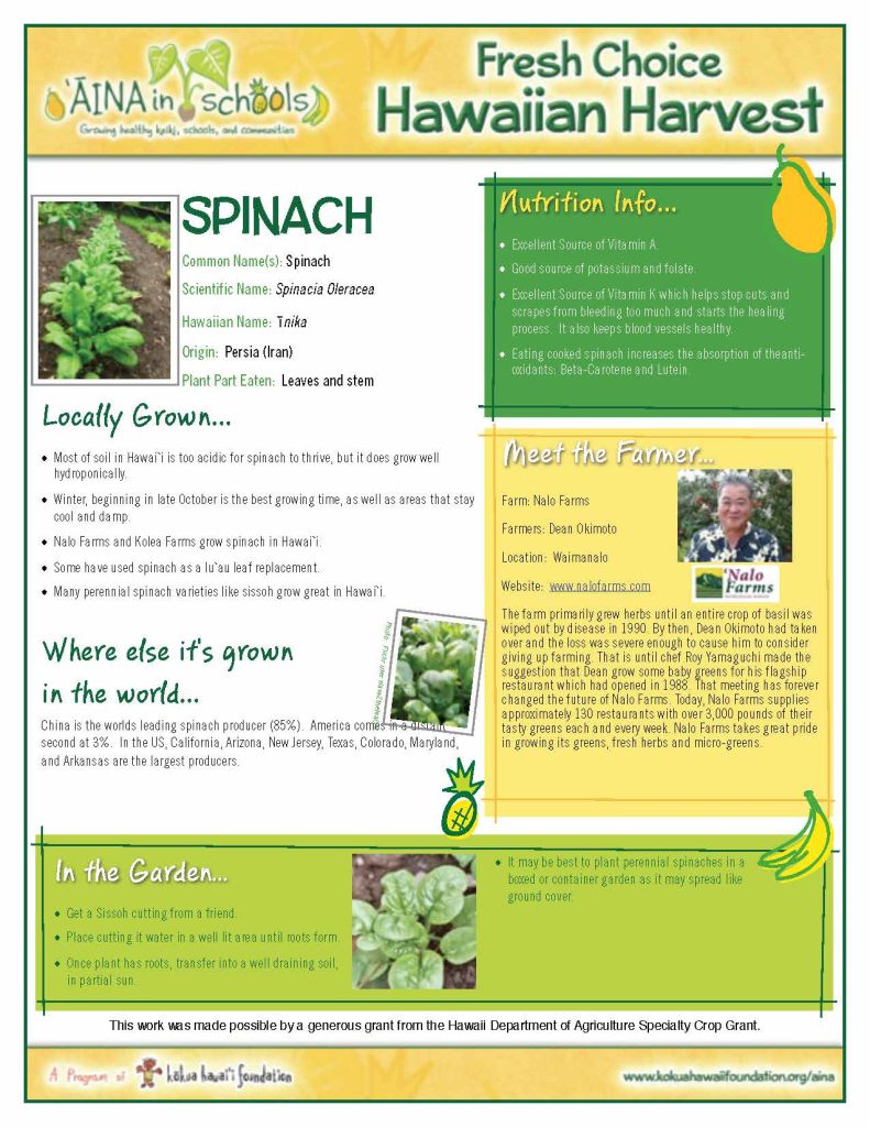 Spinach Educational Resource Sheet - Kokua Hawaii Foundation