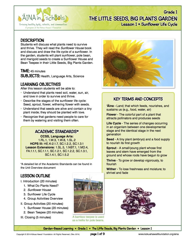 Grade 1: Little Seeds, Big Plants Garden - Kokua Hawaii Foundation