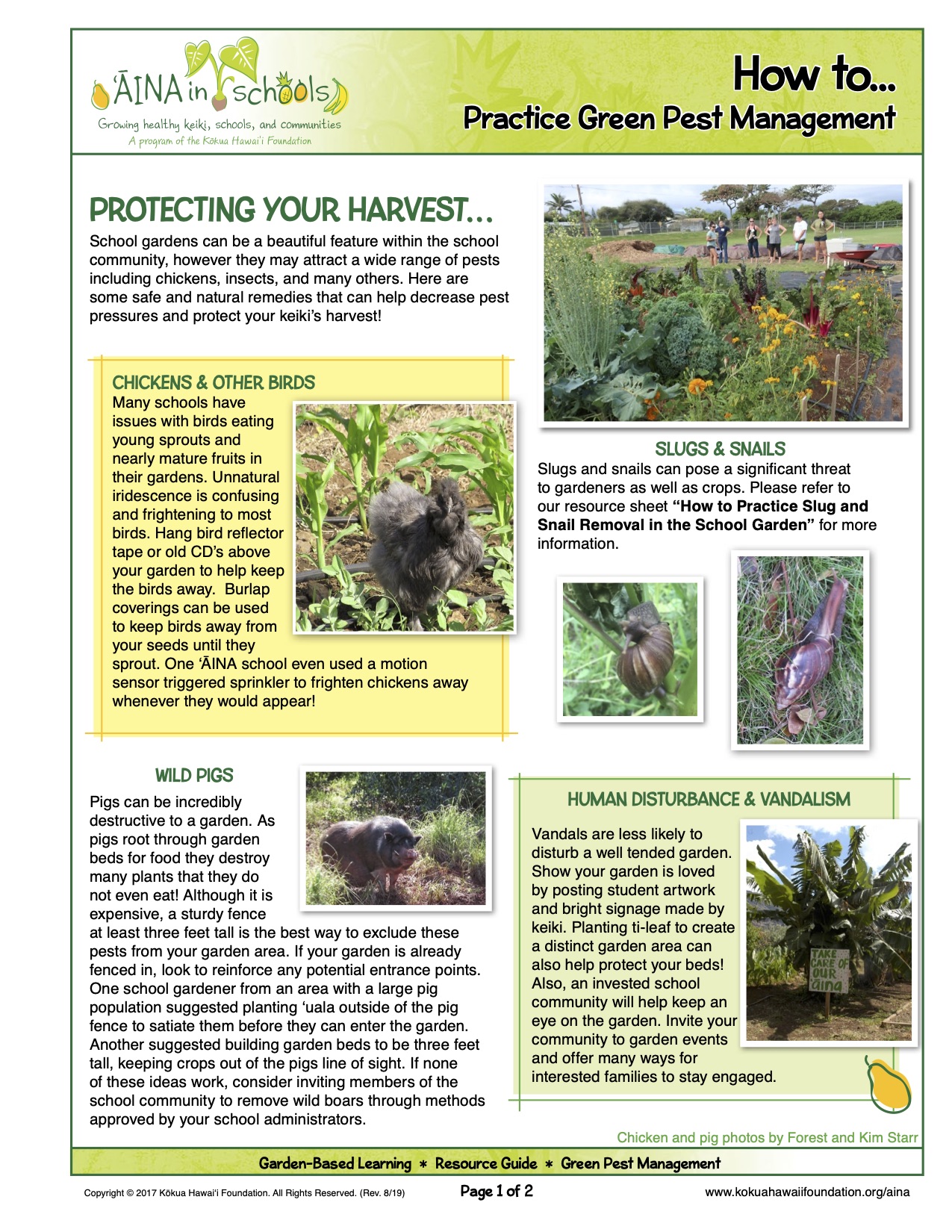 ʻĀINA How To Practice Green Pest Management - Kokua Hawaii Foundation