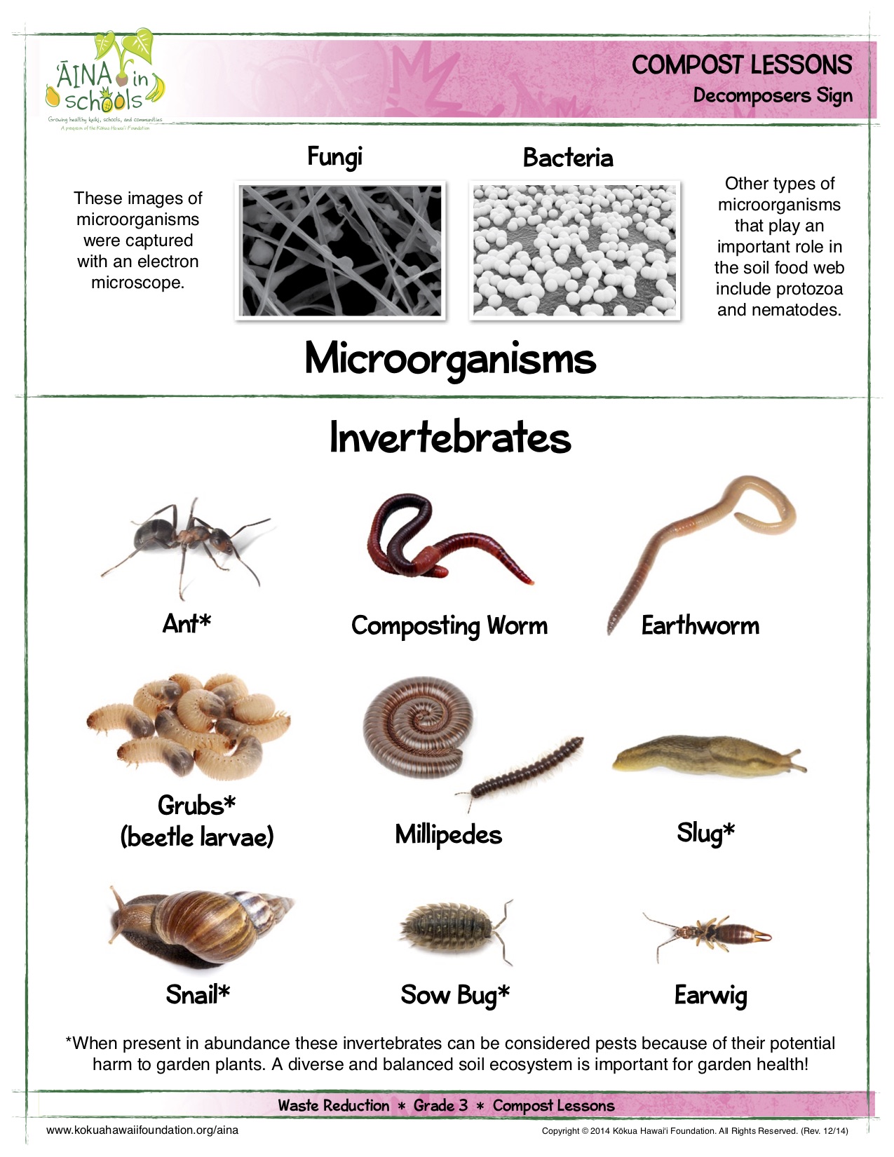 ʻĀINA In Schools Waste Reduction Grade 3: Visual Aids - Kokua Hawaii ...