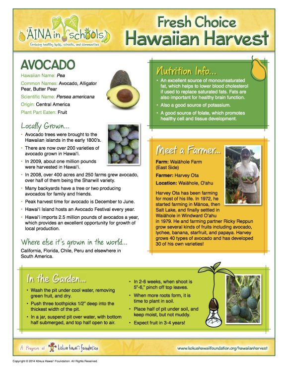 Avocado Educational Resource Sheet - Kokua Hawaii Foundation
