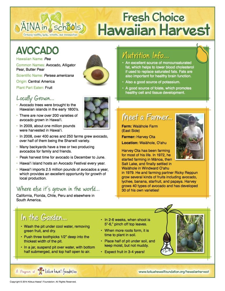 Avocado Educational Resource Sheet - Kokua Hawaii Foundation
