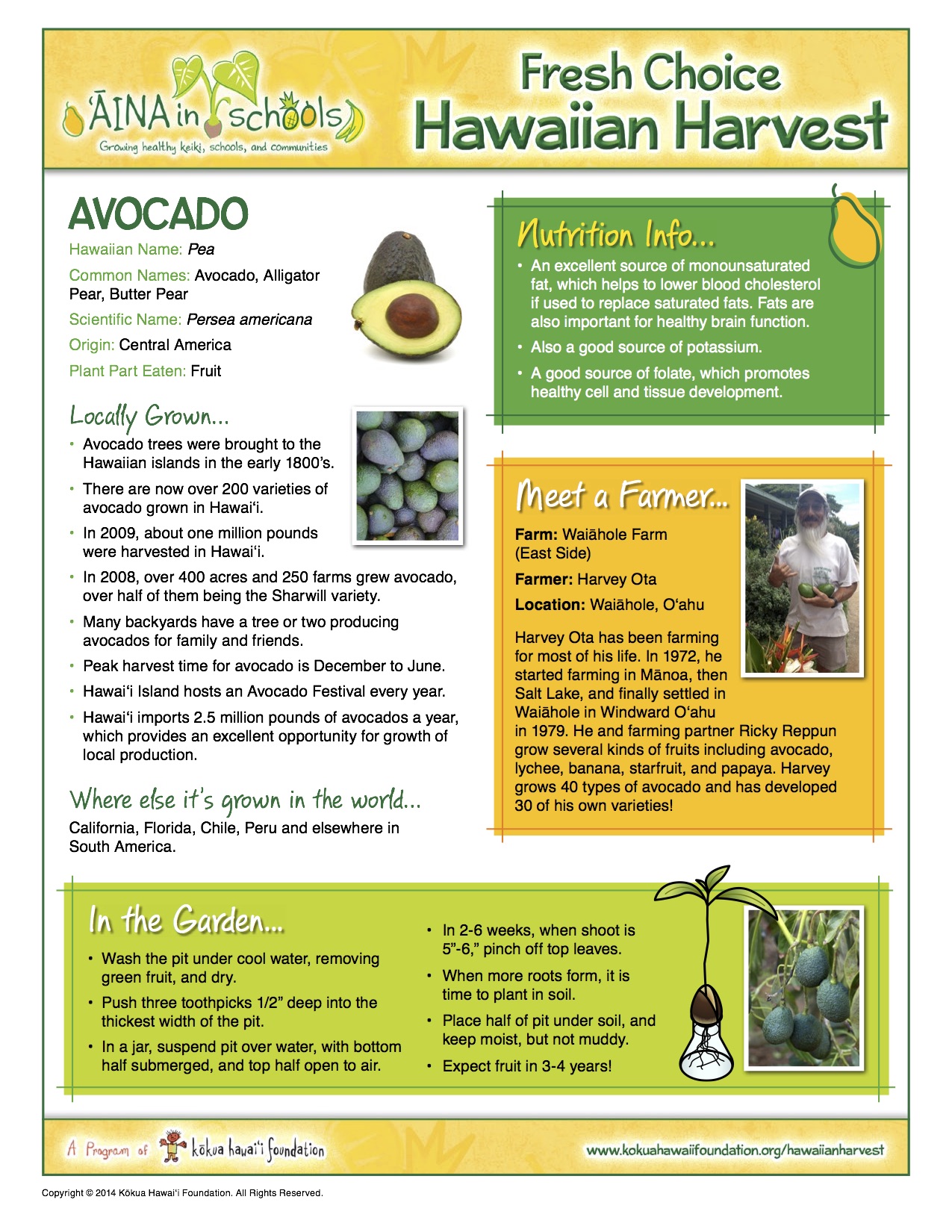 Avocado Educational Resource Sheet - Kokua Hawaii Foundation
