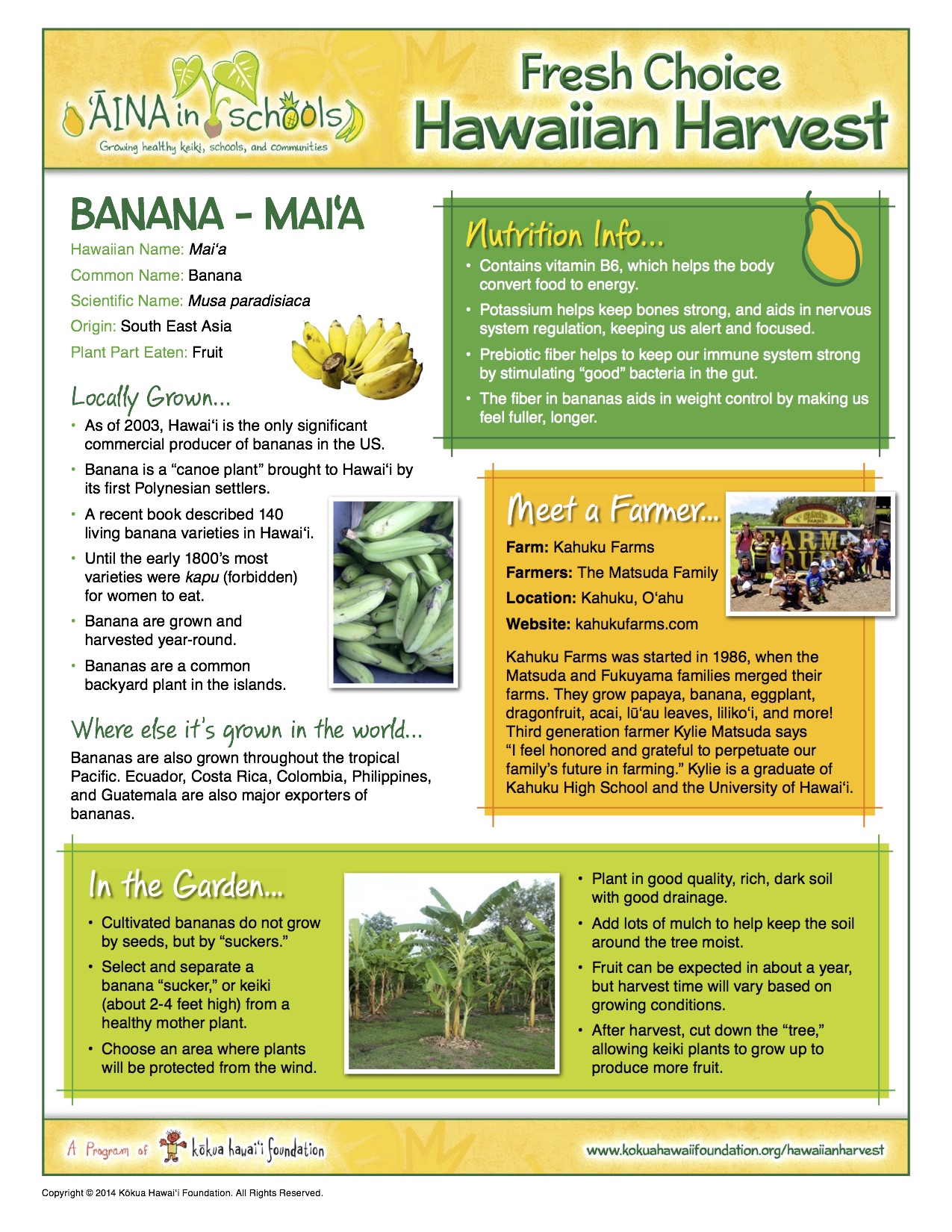 Banana Educational Resource Sheet - Kokua Hawaii Foundation