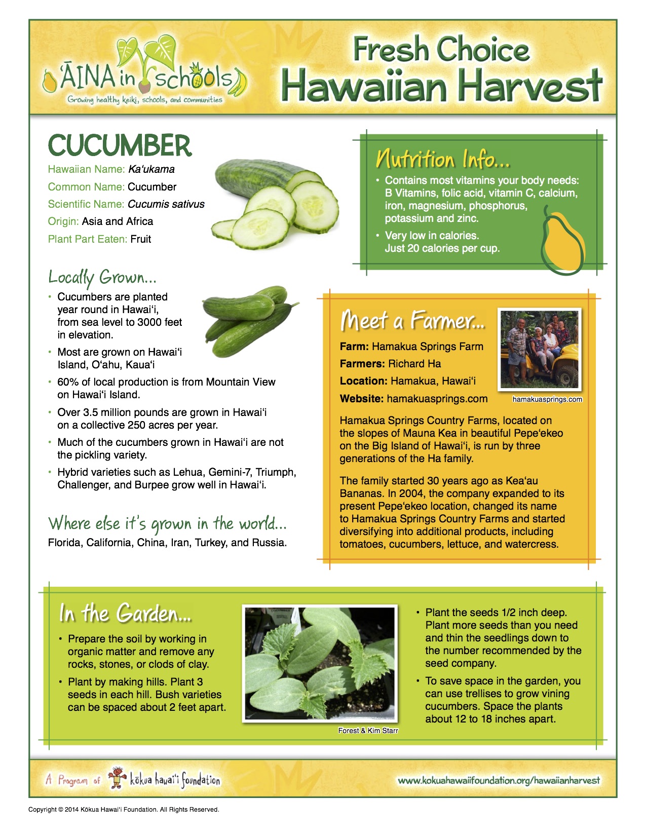 Cucumber Educational Resource Guide - Kokua Hawaii Foundation