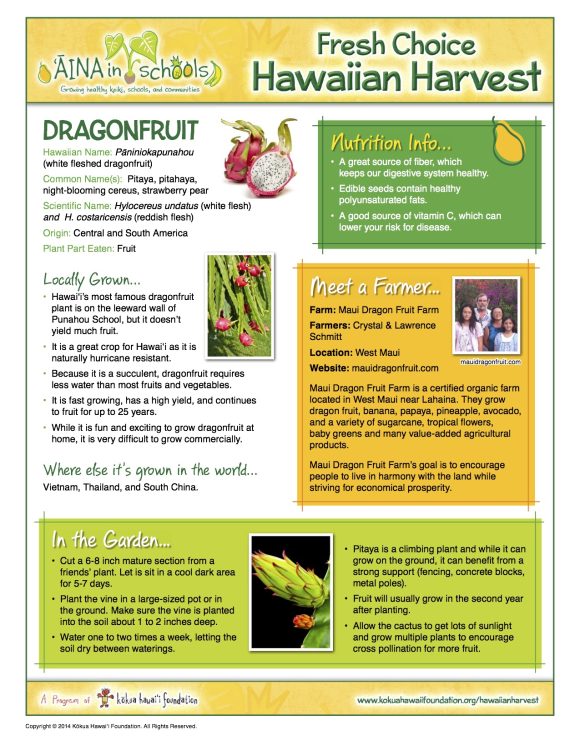 Dragon Fruit Educational Resource Sheet - Kokua Hawaii Foundation
