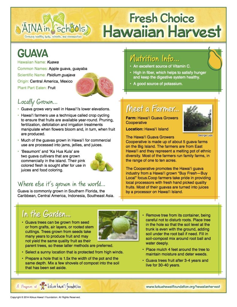 Guava Educational Resource Sheet - Kokua Hawaii Foundation
