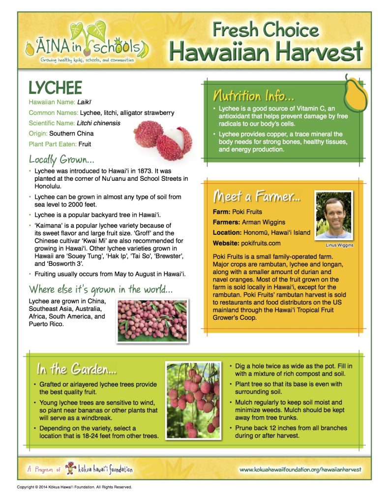 Lychee Educational Resource Sheet - Kokua Hawaii Foundation