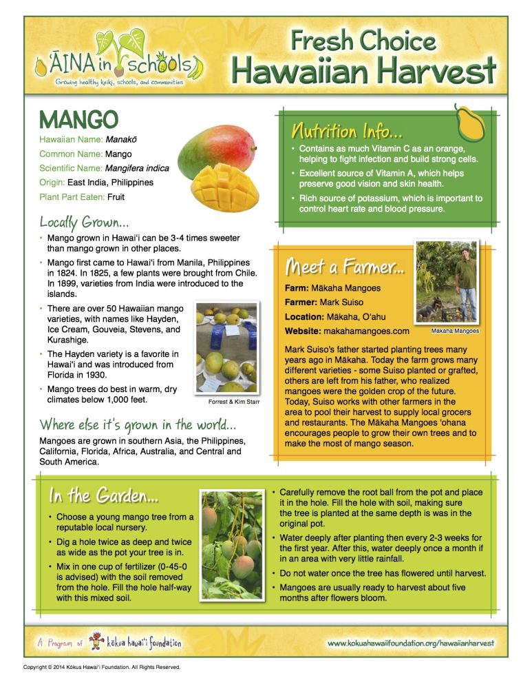 Mango Educational Resource Sheet - Kokua Hawaii Foundation