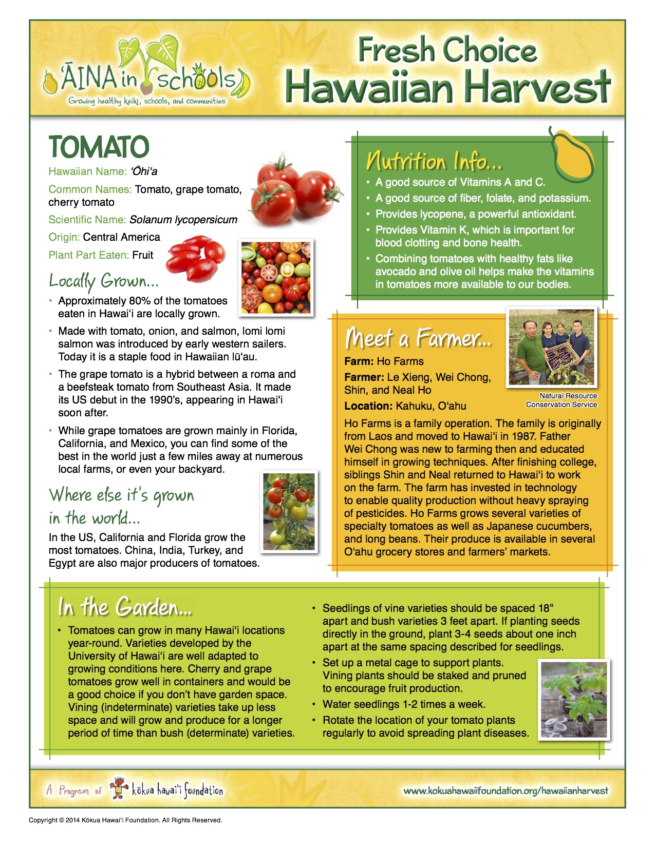 Tomato Educational Resource Sheet - Kokua Hawaii Foundation