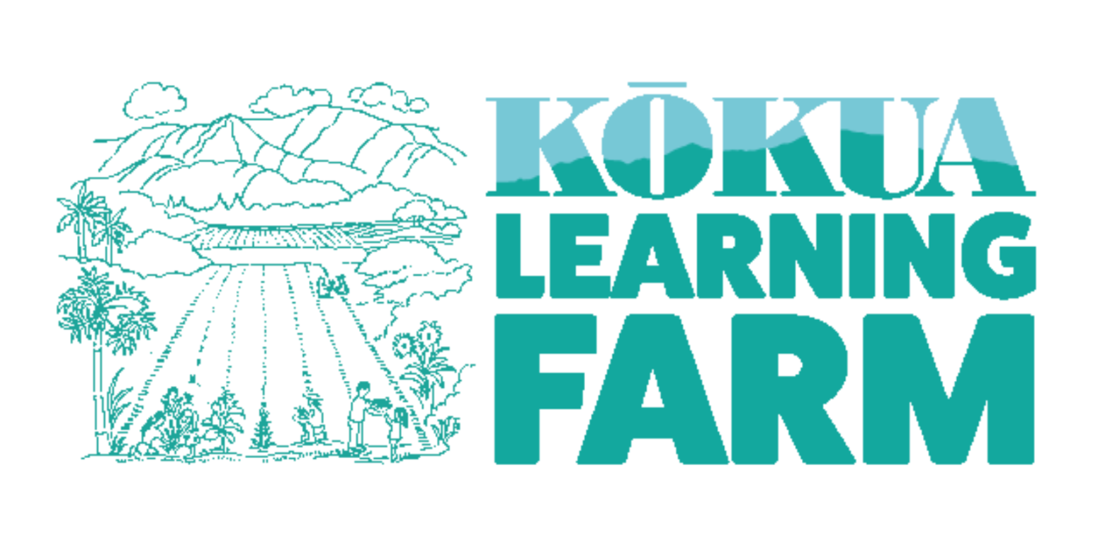 Our Place - Kokua Hawaii Foundation