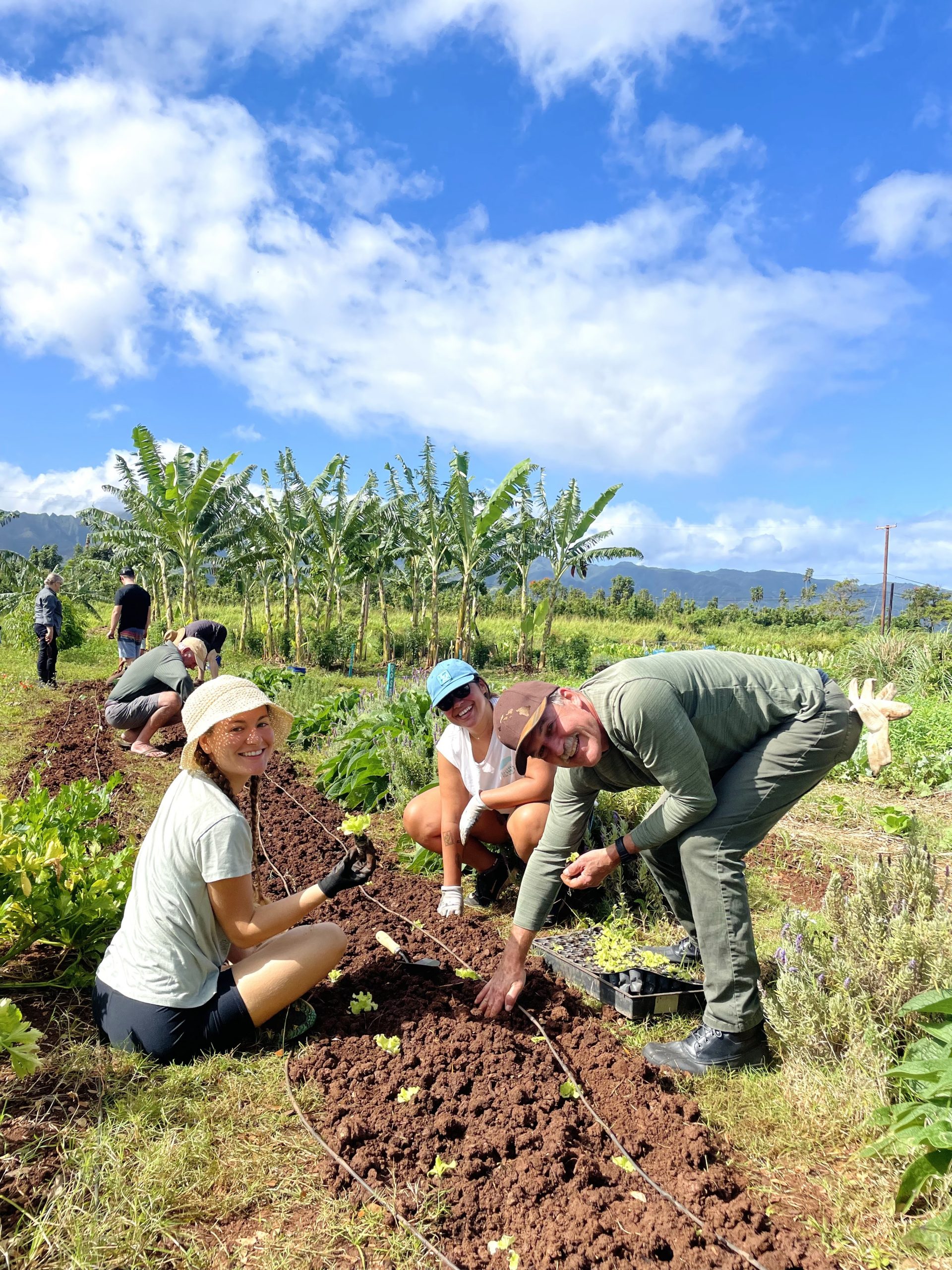 Fun Members Workday on the Kōkua Learning Farm! - Kokua Hawaii Foundation