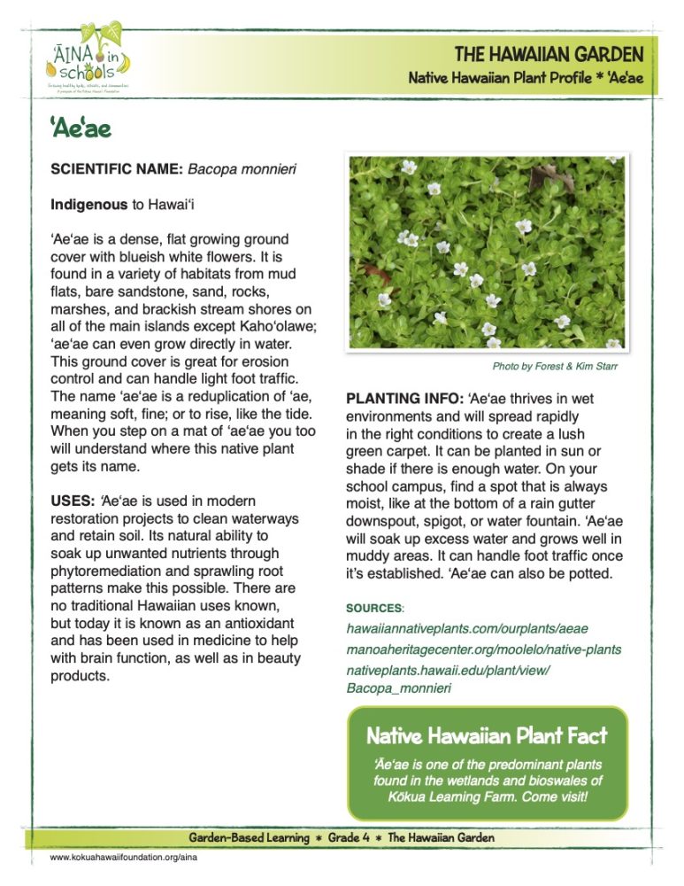 Taking Care of Your Native Plants At Home - Kokua Hawaii Foundation