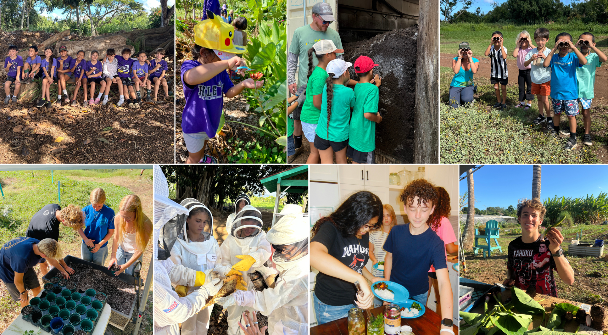 Farm to School Month on the Kōkua Learning Farm - Kokua Hawaii Foundation